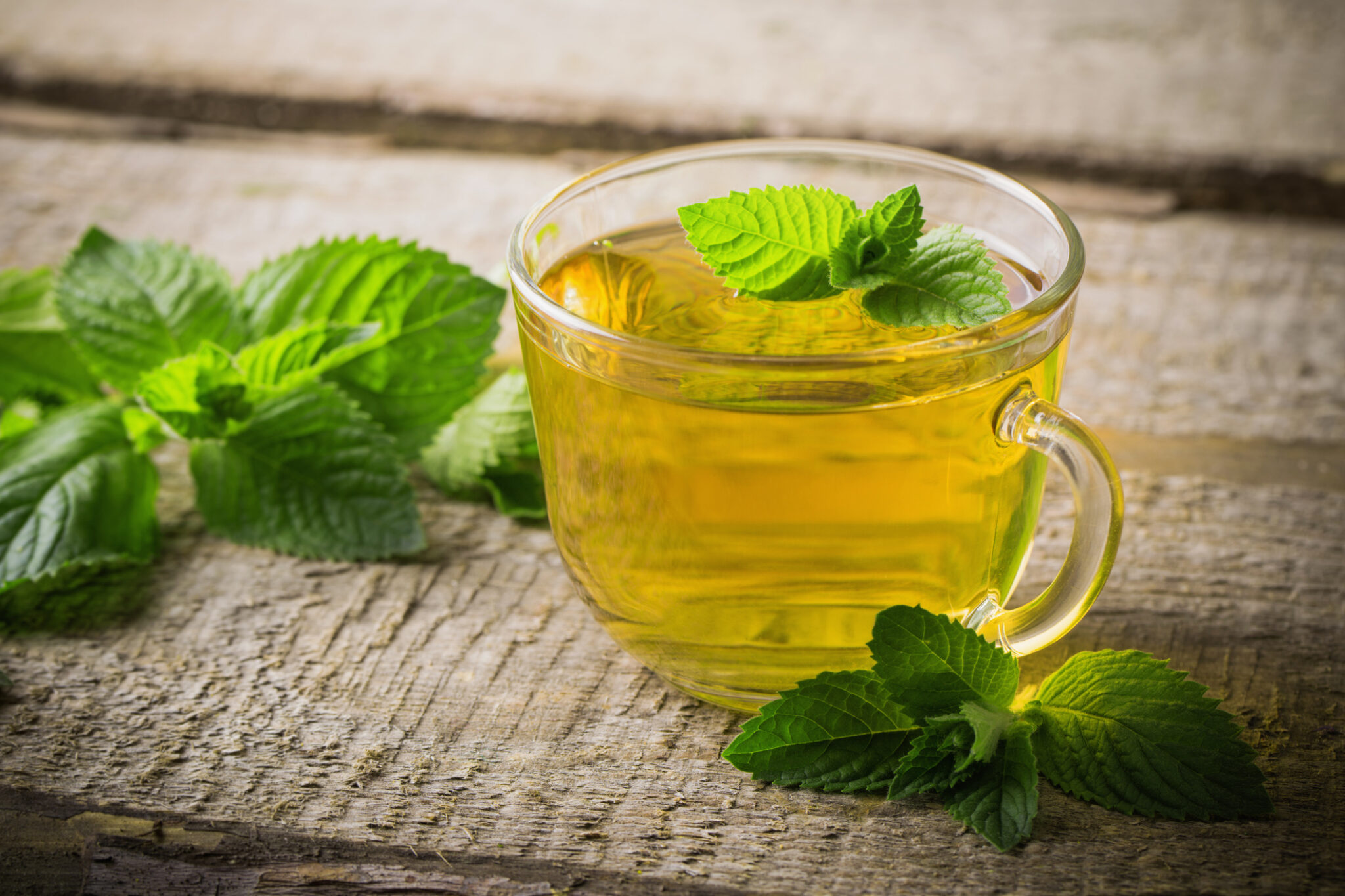 How to Make Basil Tea & Unexpected Benefits - The Frugal Chef