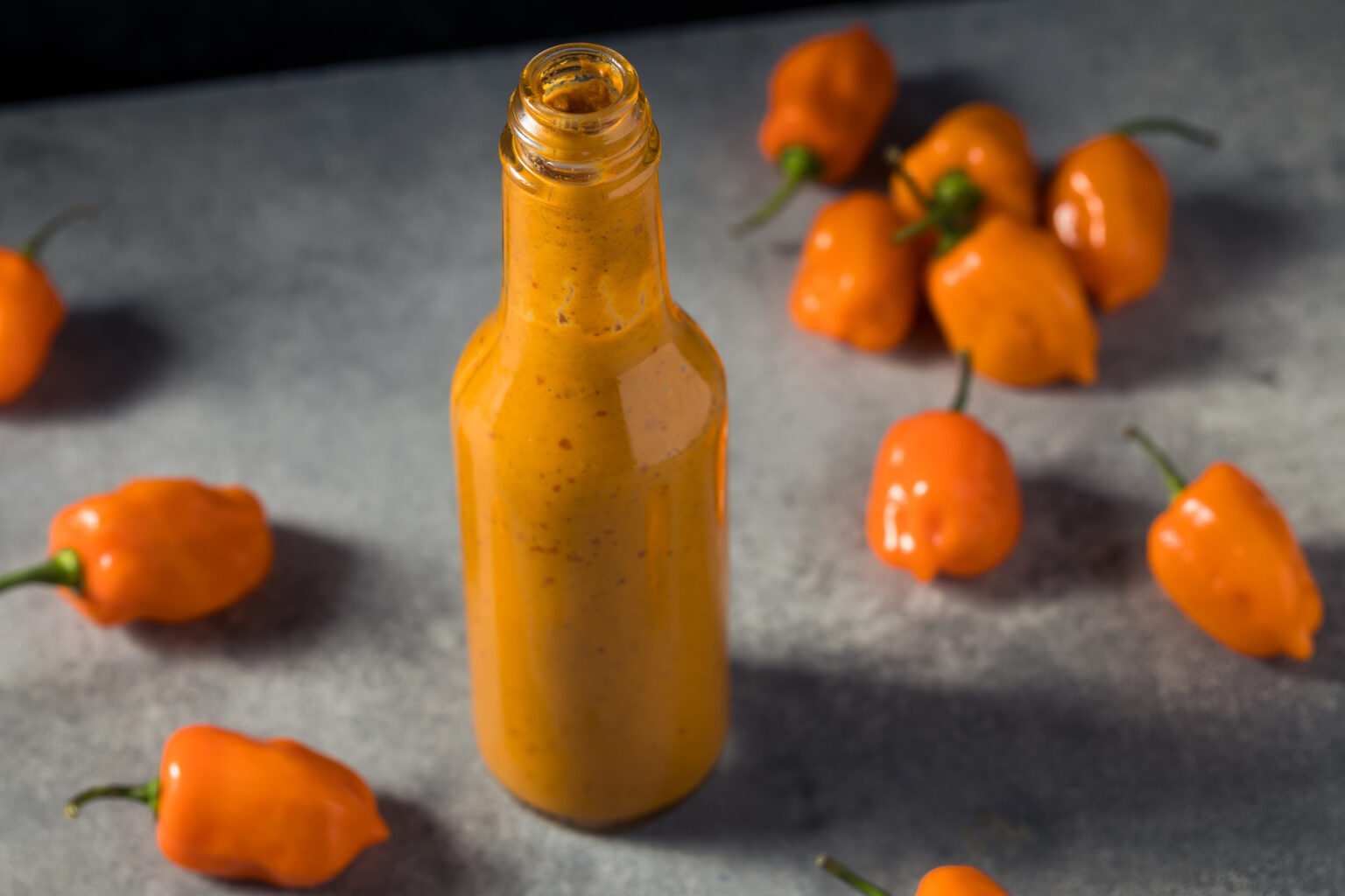 How to Make Habanero Salsa - The Frugal Chef