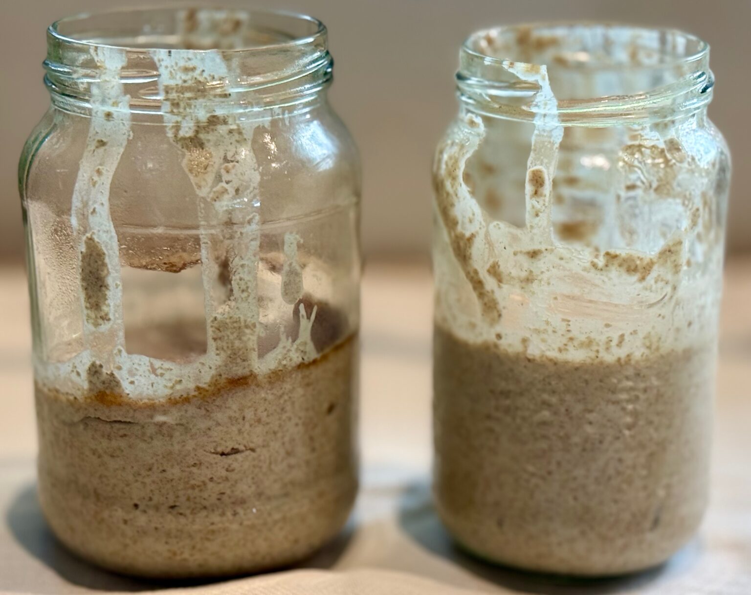 How to Store Sourdough Discard - The Frugal Chef