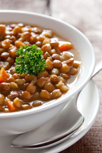 How to Make Vegetarian Lentil Stew - The Frugal Chef